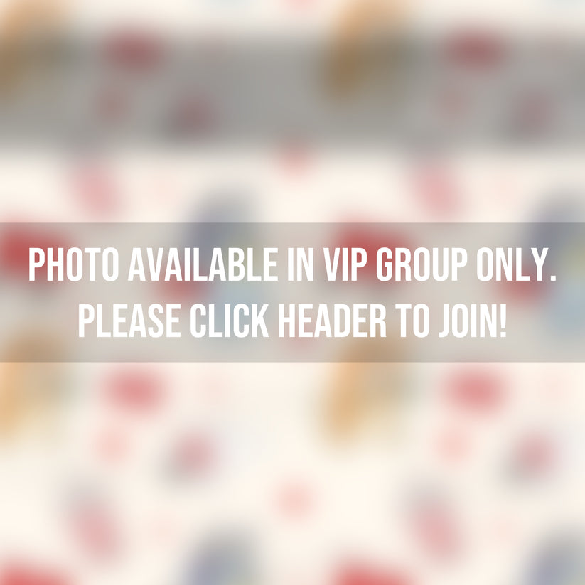 016 Heeler Starry Target Seamless Pattern – MBH Seamless Designs